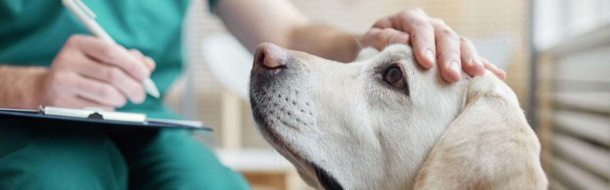 Veterinary Triage Assessments – Pioneer Veterinary Products